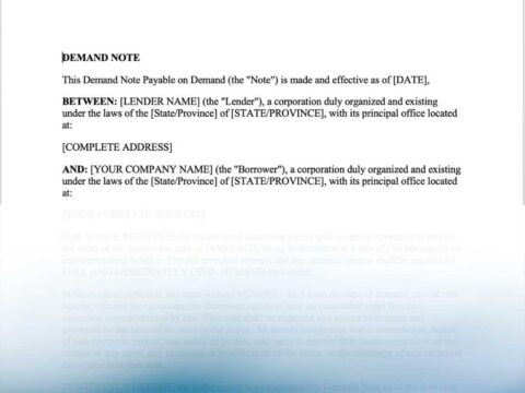 Demand Note | Law4GA