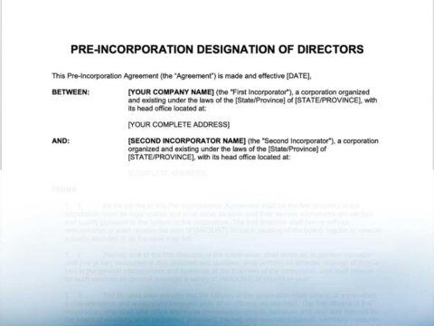 Director Designation - Law for Georgia