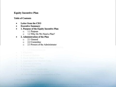 Equity Incentive Plan – Stock Options - Law for Georgia